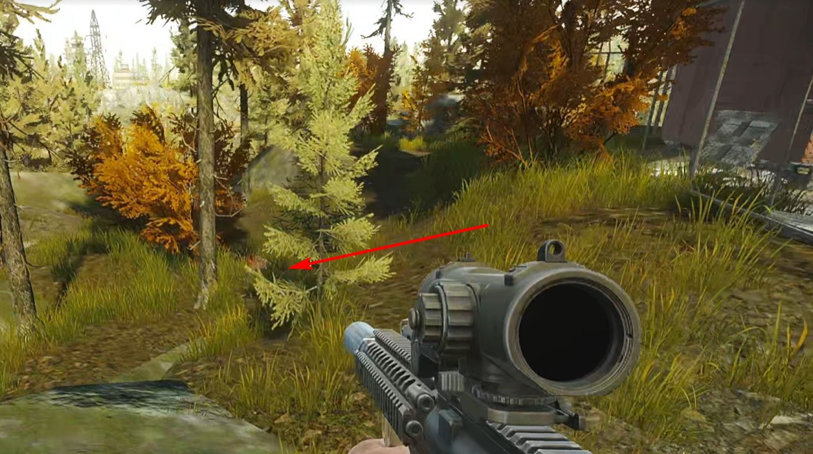 Tarkov.help | Escape From Tarkov